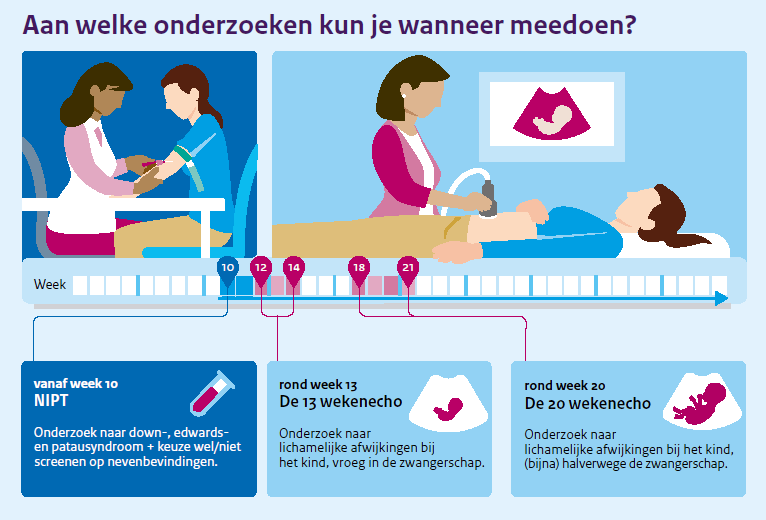 Informatiekaart prenatale screening | Prenatale en neonatale screeningen
